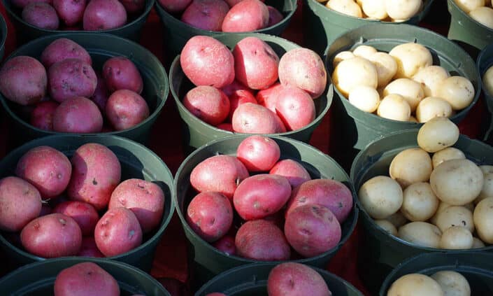 How To Tell If Potatoes Have Gone Bad (Plus Ways to Extend Their ...