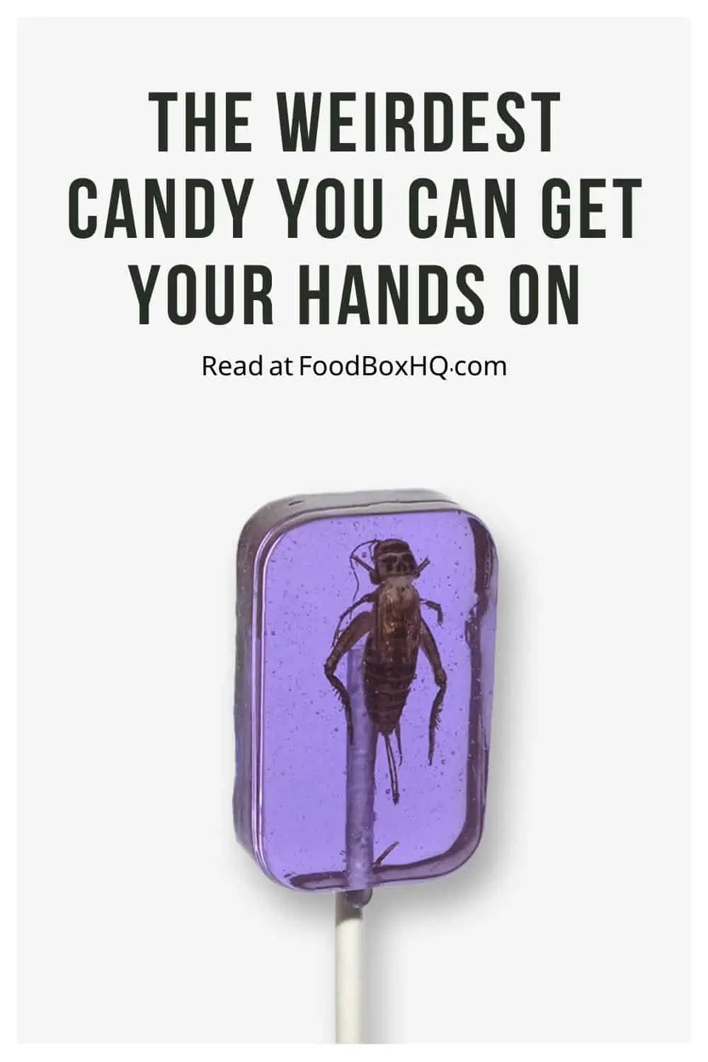 25 Of The Weirdest Candies You Can Get Your Hands On | Food Box HQ